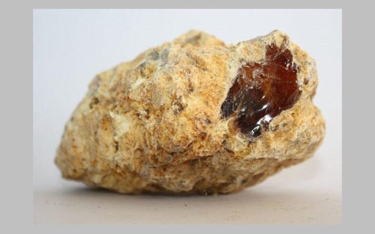 What Does Ambergris Smell Like: Unique Characteristics