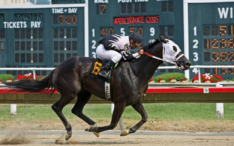 Bookie Meaning in a Text: Surprising Slang You Should Know