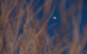 200 Boy Names Meaning Moon That Capture Celestial Wonder